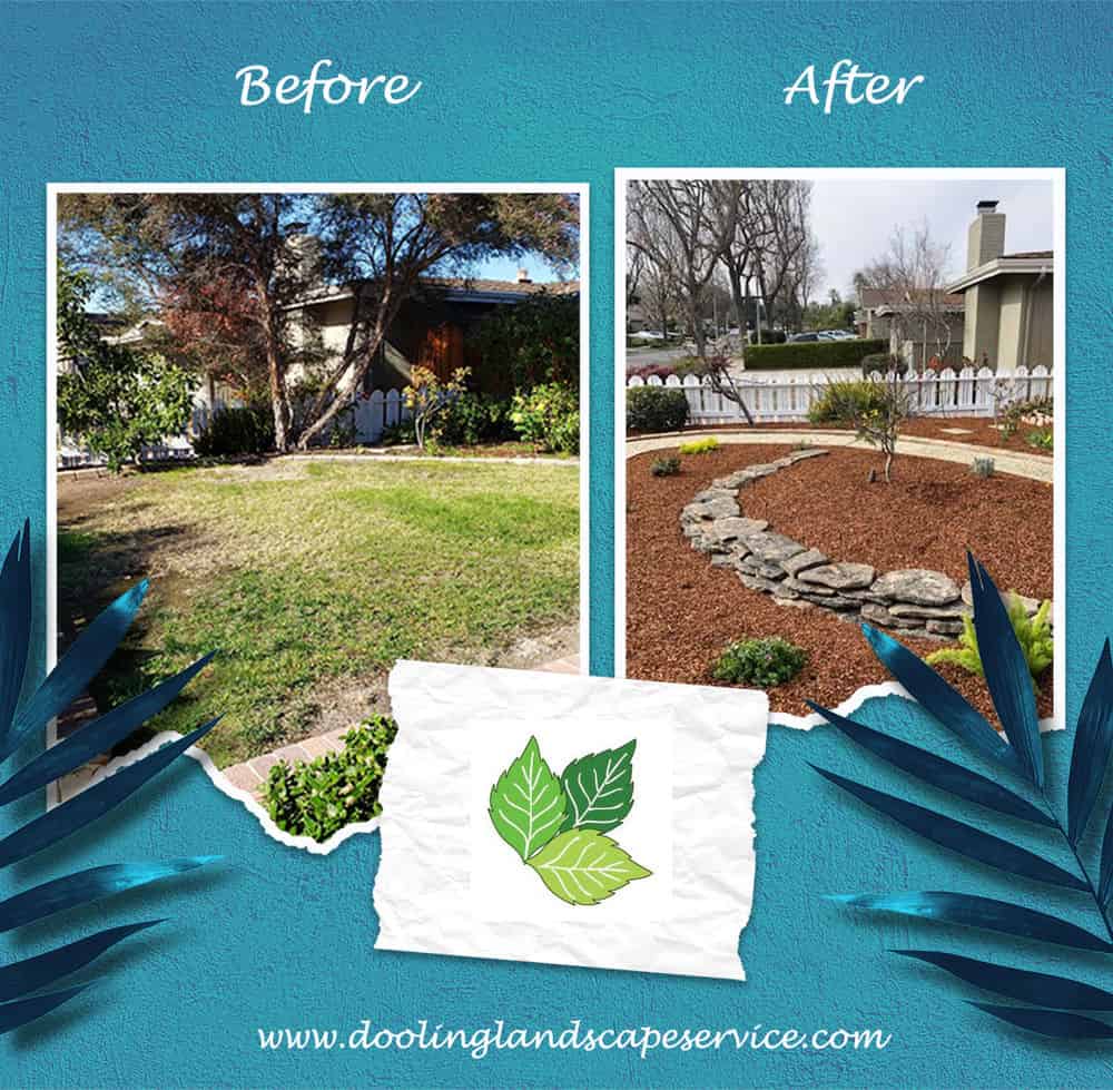 Expert Landscaping Services in Santa Clara | Dooling Landscape Service